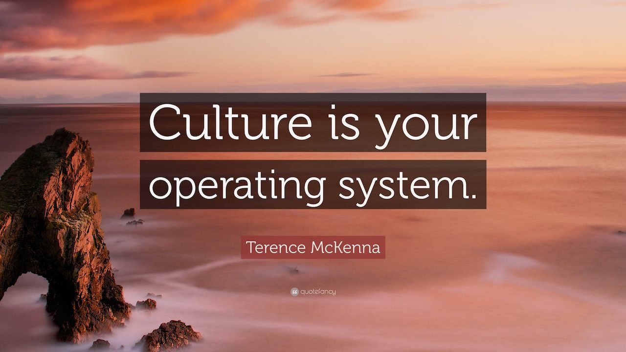 Culture is Your Operating System – SansMemetics.net